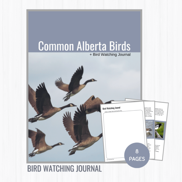 Bird Watching Journal - ADSN